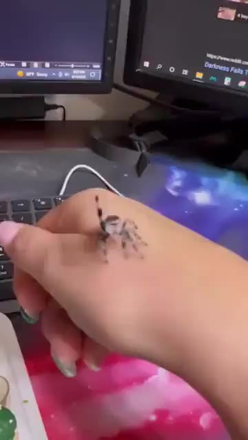 Do a little dance - Meme by Devxicol :) Memedroid