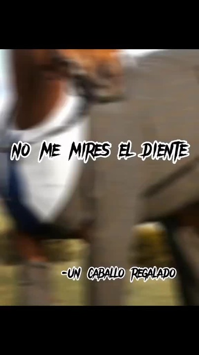 Caballo - Meme by Sandro916 :) Memedroid