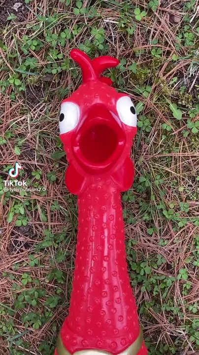 Pollo Audífonos - Meme subido por Chahuistle_-12. :) Memedroid