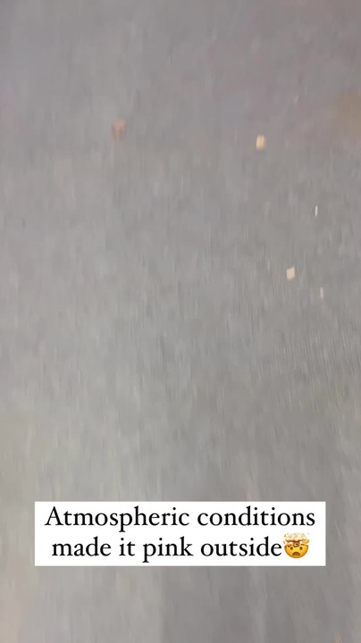 These gender reveals are getting outta control - Meme by woowerse ...