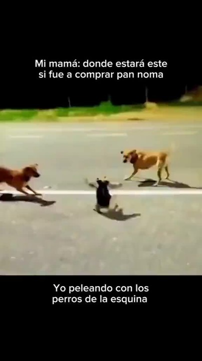 Yendo a comprar el pan - Meme by gelemi :) Memedroid