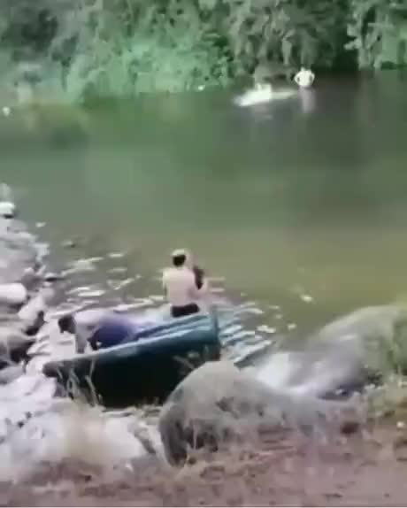 Stoned - Meme by BrunoChieppe :) Memedroid