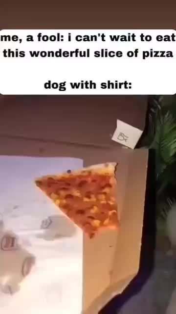 Perro con camisa - Meme subido por radoss :) Memedroid