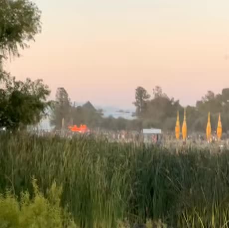 Rave duck - Meme by isaidnope :) Memedroid