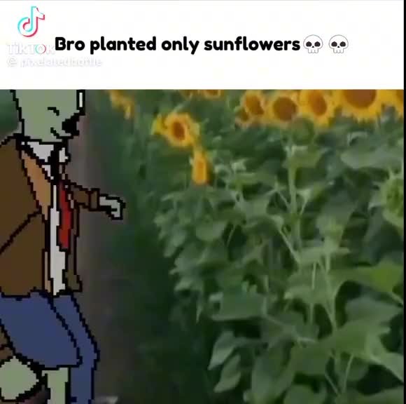 CFFFFFF - Meme subido por Claudio_16.9 :) Memedroid