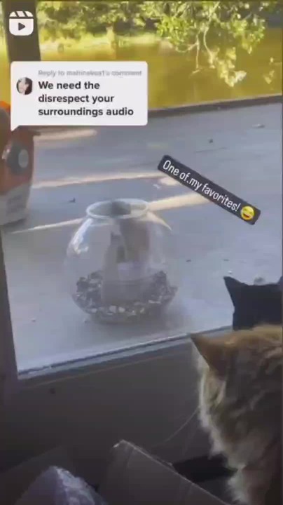 Little guy looks frustrated - Meme by Capncracker :) Memedroid