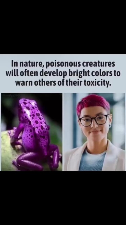 Learn from nature - Meme by SaaallleeeH :) Memedroid