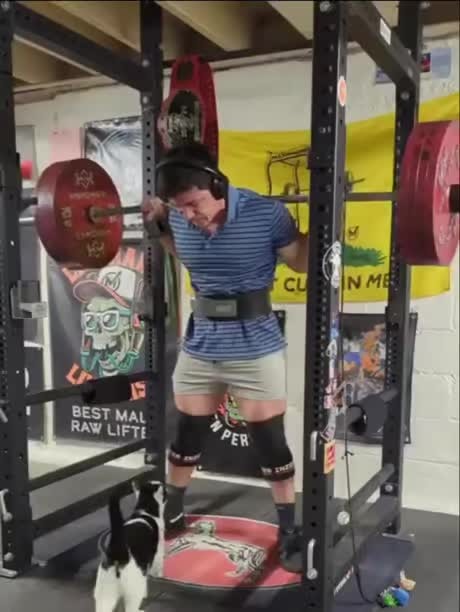 Squats with the perfect spotter - Meme by Mustafafleur :) Memedroid