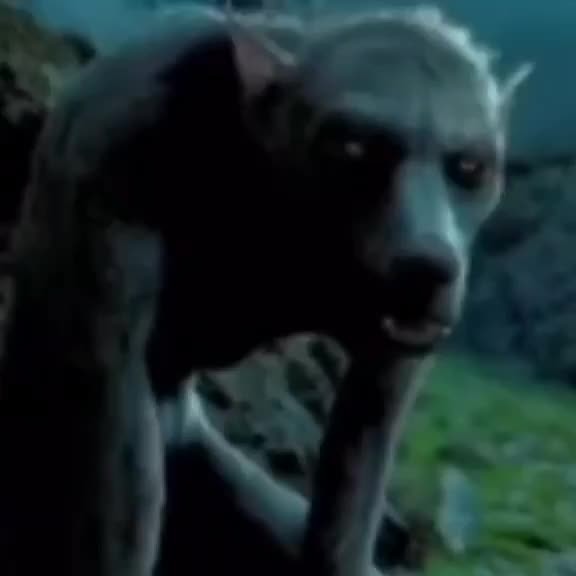 Lobisomem pidão - Meme by Neguim.do.RJ :) Memedroid