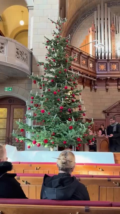 Not the best idea for a Christmas tree - Meme by vadersdad :) Memedroid