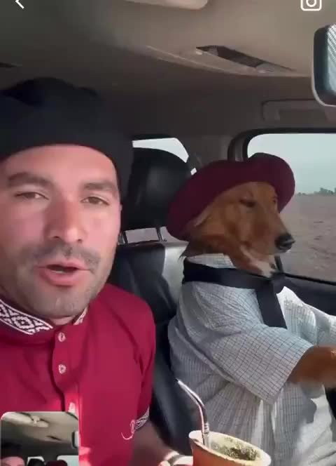 el mejor conductor - Meme subido por Predaking05 :) Memedroid