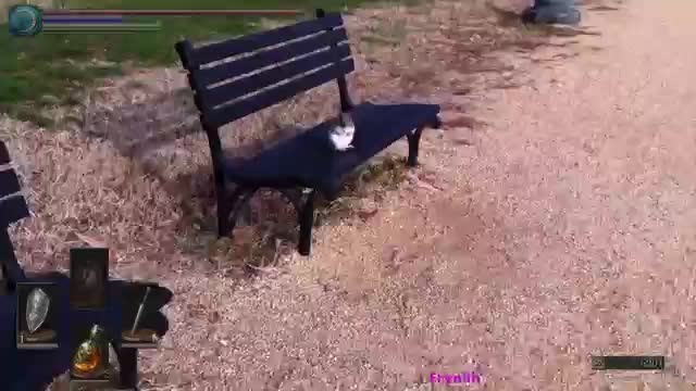 Ardilla - Meme subido por MeGustaVerMemesXD :) Memedroid