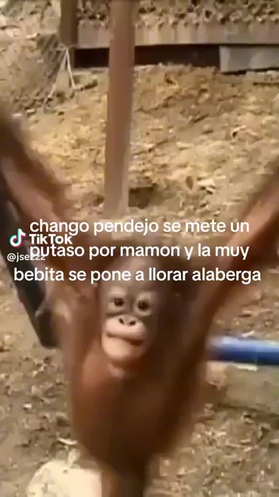 Chango - Meme by 6.armageddon.9 :) Memedroid