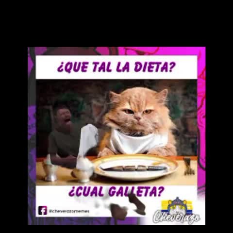 Zzzzz - Meme subido por TrolazoMan :) Memedroid
