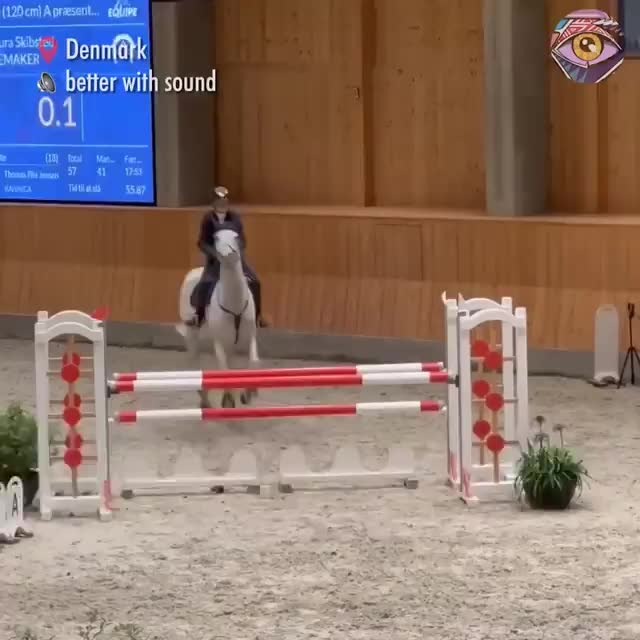 Horse needed an extra boost - Meme by pirush :) Memedroid