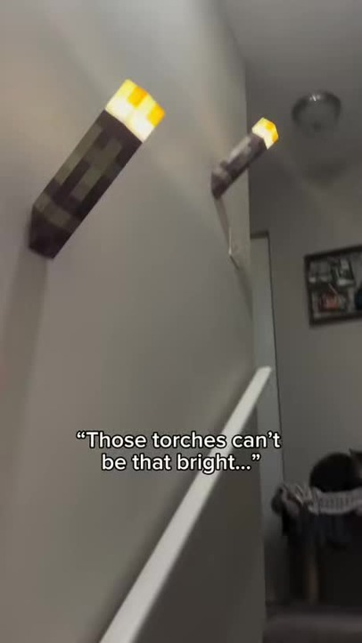 Real life Minecraft torches - Meme by ri3zo :) Memedroid