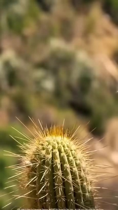 Nature is scary and impressive - Meme by Zeio44 :) Memedroid