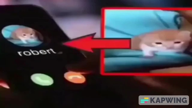 OMG, HE IS EVERYWHERE - Meme subido por GAMINGisEPIC :) Memedroid