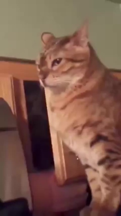 Calculated - Meme by The_dankrising :) Memedroid