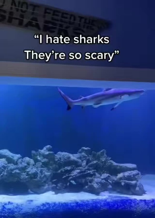 Scary - Meme by Knot_daddy :) Memedroid