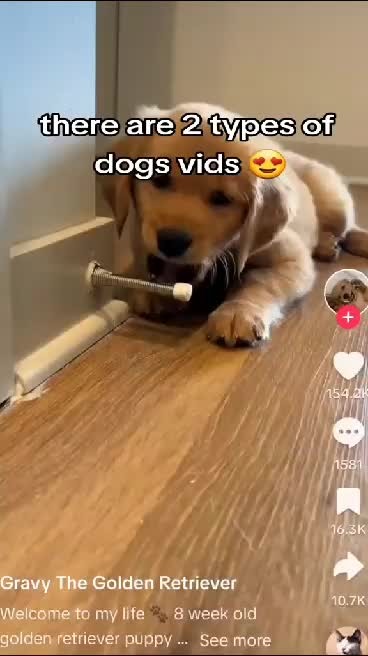 chongo - Meme subido por fodae :) Memedroid