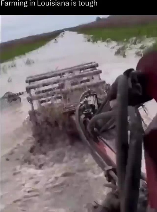 Farming in Louisiana - Meme by avegfoul :) Memedroid