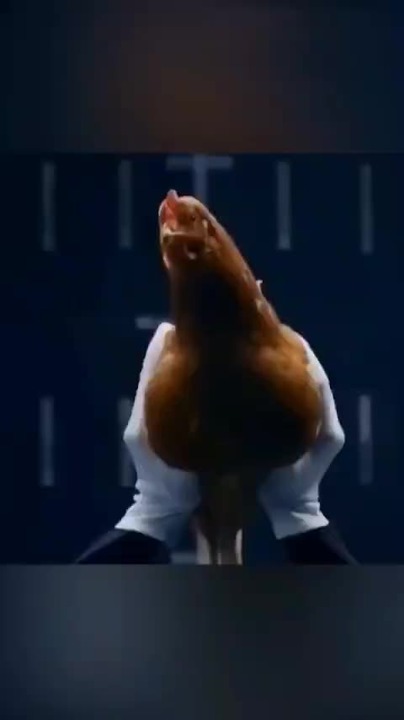 Insert - Meme by spongebob666 :) Memedroid