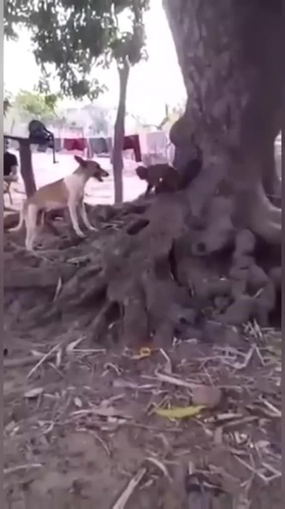 Jajajjaj - Meme subido por Cark :) Memedroid