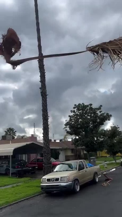 There’s a glitch in the matrix - Meme by trivinzelda :) Memedroid