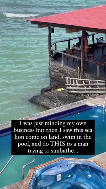 Excuse me, sir. You're in my spot - Meme by maynebrayne :) Memedroid