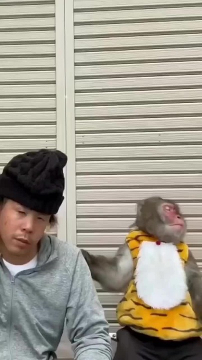 monke - Meme subido por LiteralTrash :) Memedroid