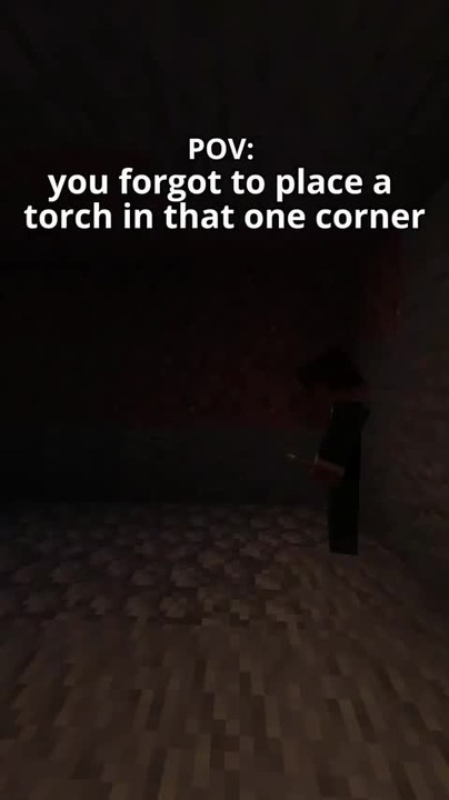 When you forgot to place a torch in one corner - Meme by imROYAL ...