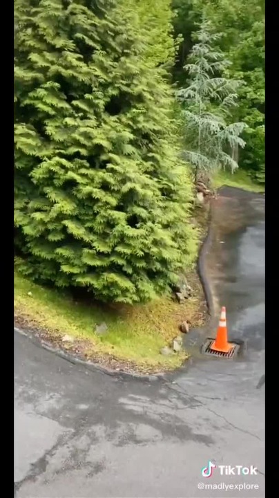 SpongeBob scream scared him away - Meme by YourOtherLeft :) Memedroid