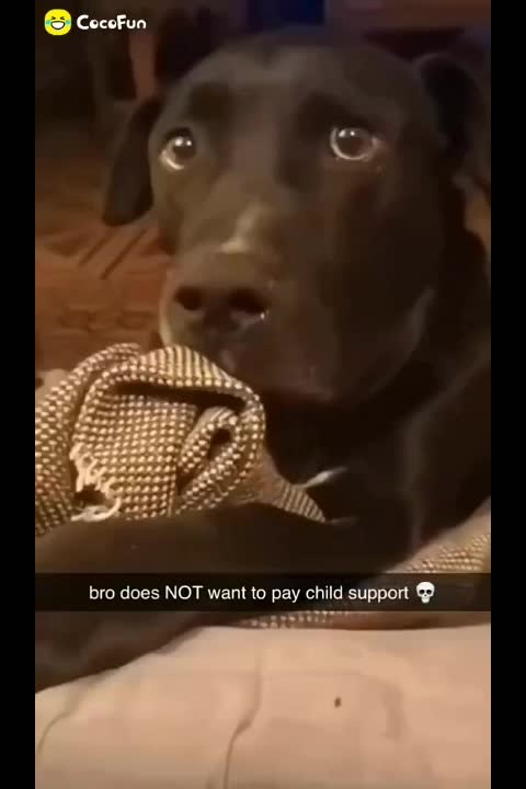 She's what? With how many? - Meme by Cliffy_99 :) Memedroid