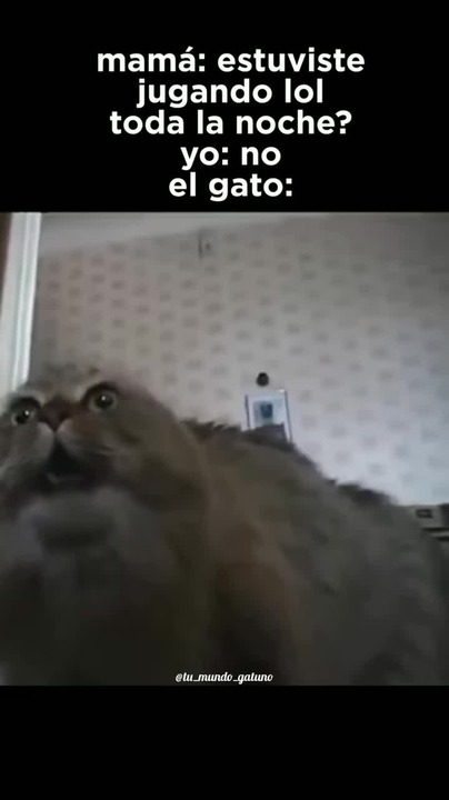 When Dios sí castiga más de 2 veces... - Meme subido por josevega98 ...