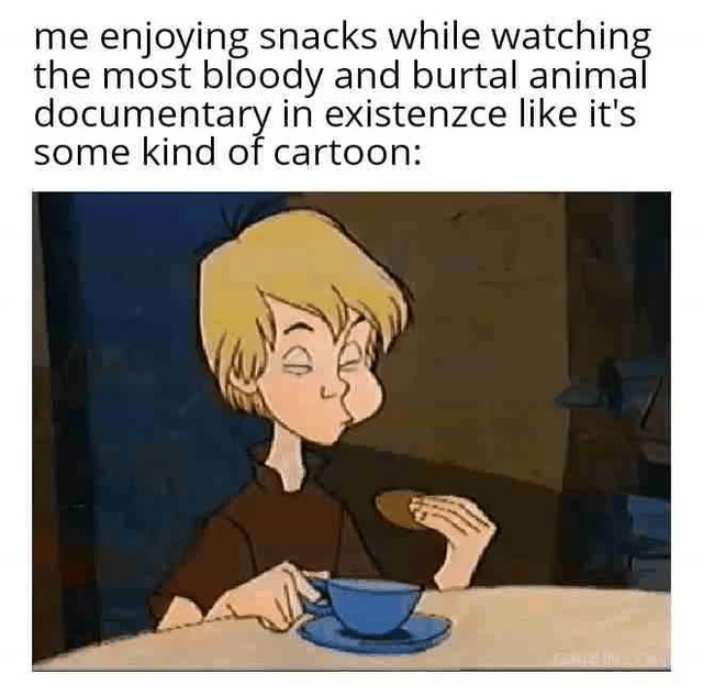 Animal documentary meme - Meme by MemeTheVersed :) Memedroid