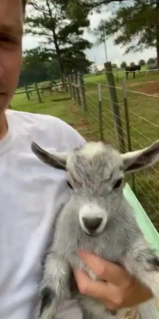 !aaaaaaaa¡ - Meme subido por oscarooooed :) Memedroid