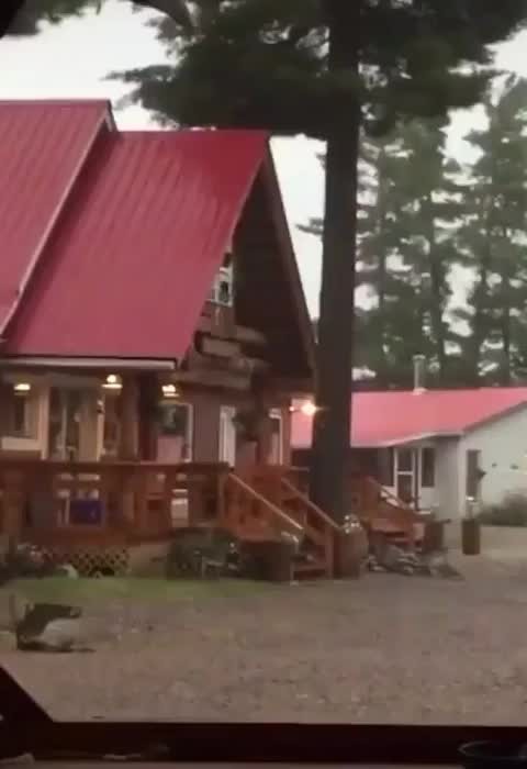 Lighting strike - Meme by RobSammer :) Memedroid