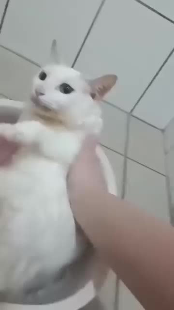 Haciendo comida casera en china - Meme subido por vicecity123f :) Memedroid