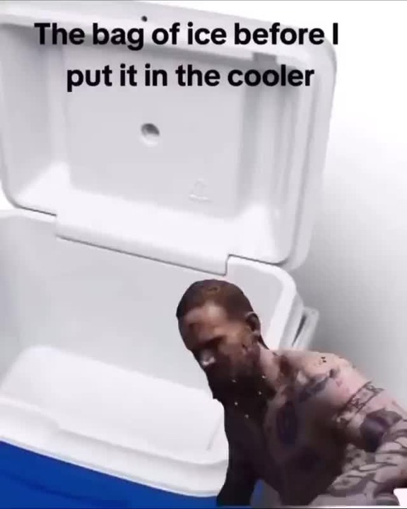 Bag of ice meme - Meme by cominobody :) Memedroid