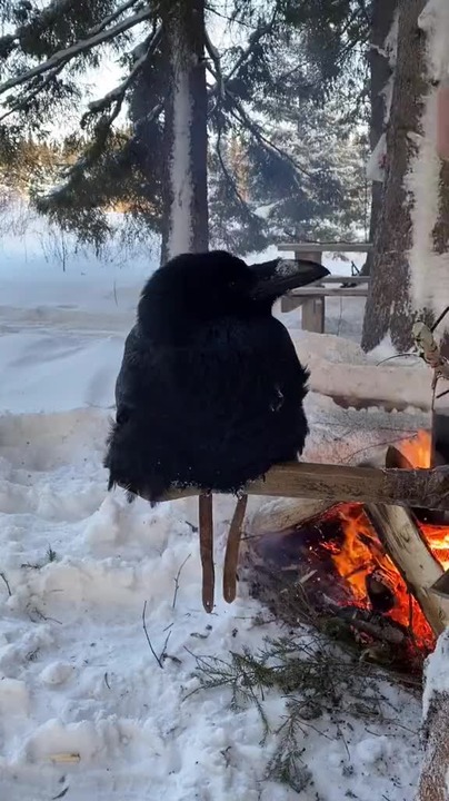 Warm birdo - Meme by YourOtherLeft :) Memedroid