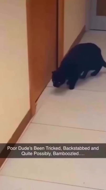 Sooooo funnyyyyyyy - Meme by The_dankrising :) Memedroid