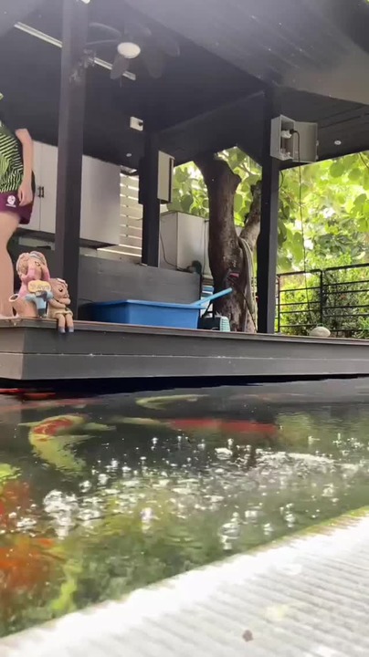 Ducklings duckling - Meme by XKRAY :) Memedroid