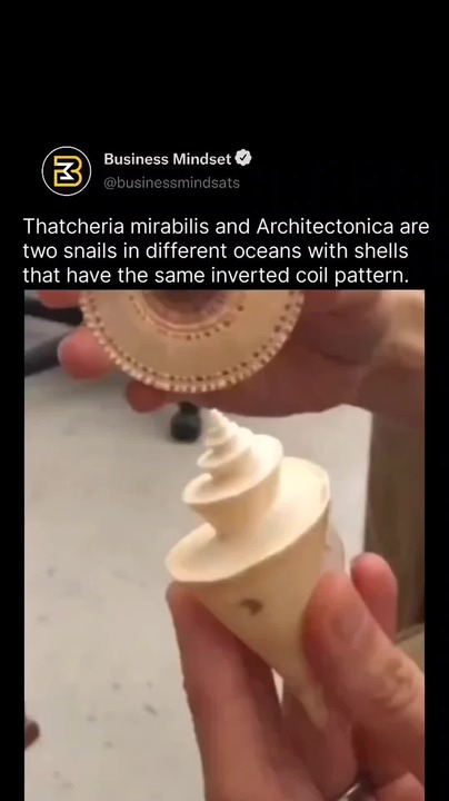 Apparently this is called the Fibonacci effect - Meme by LindsYoung ...