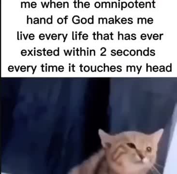 Untitled - Meme by BestBeforeDate :) Memedroid