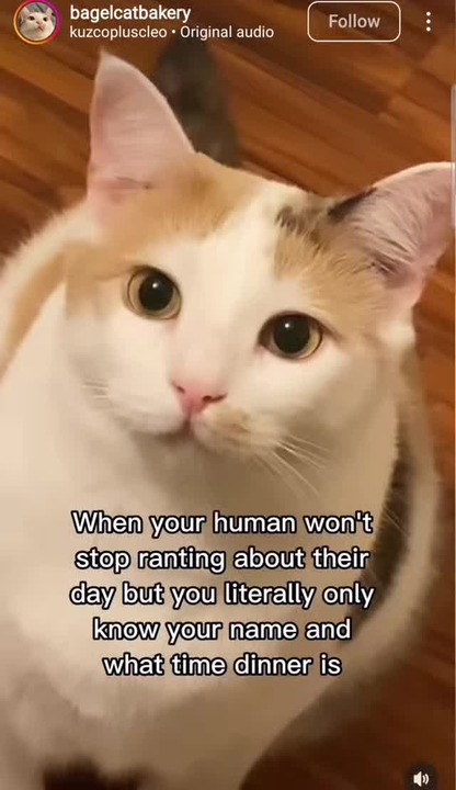 Not a person - Meme subido por Knot_daddy :) Memedroid