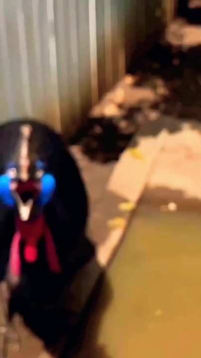 TRANCE MUSIC - Meme by Kaleno87 :) Memedroid