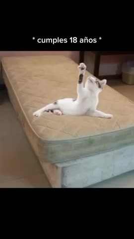 Ai - Meme by Magno-saxo :) Memedroid