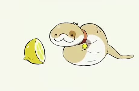 lemon video meme - Meme by Illrandom :) Memedroid