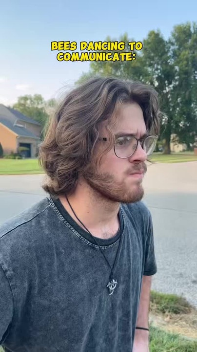 Bees - Meme by Knot_daddy :) Memedroid